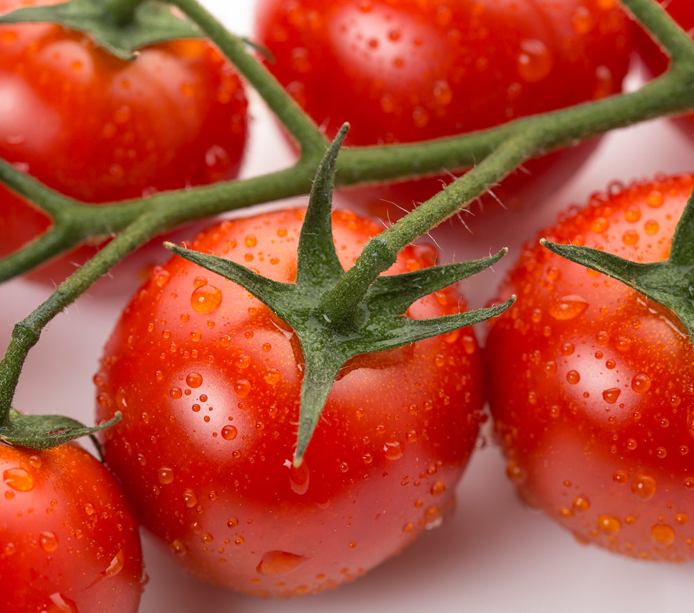 Fresh cherry tomatoes PGI from Pachino - 1 Kg. – Pomosi